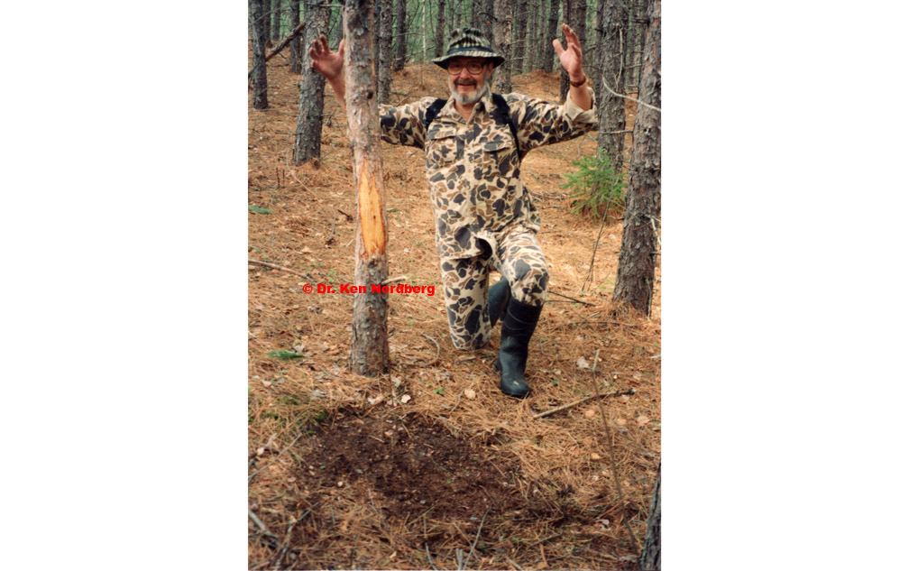 Reasons to Understand Antlered Rubs – Part I – Dr Nordberg on Deer Hunting